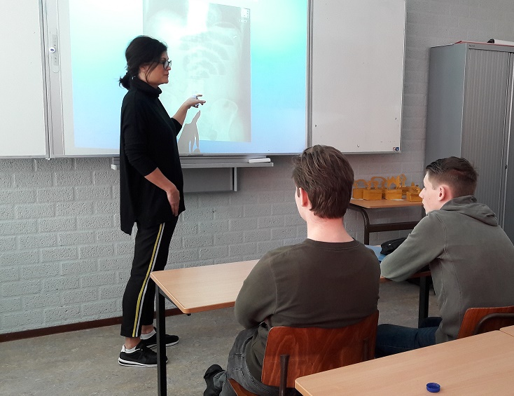 CLD - Medische beeldvorming